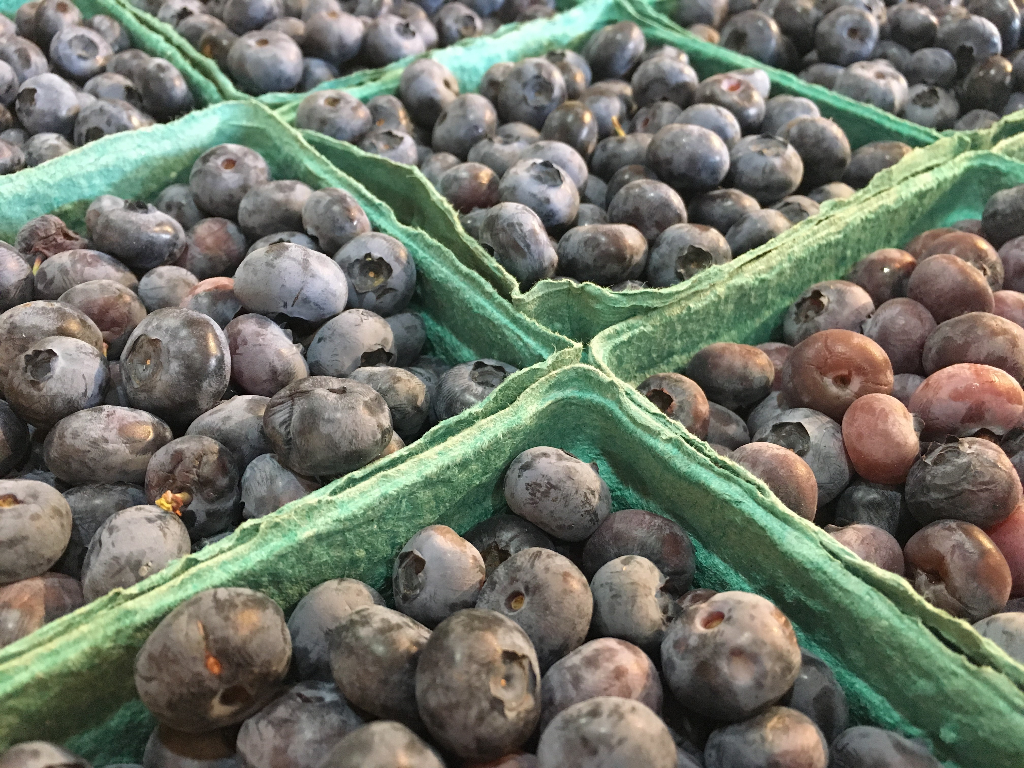 Farm Store | Rota Spring Farm