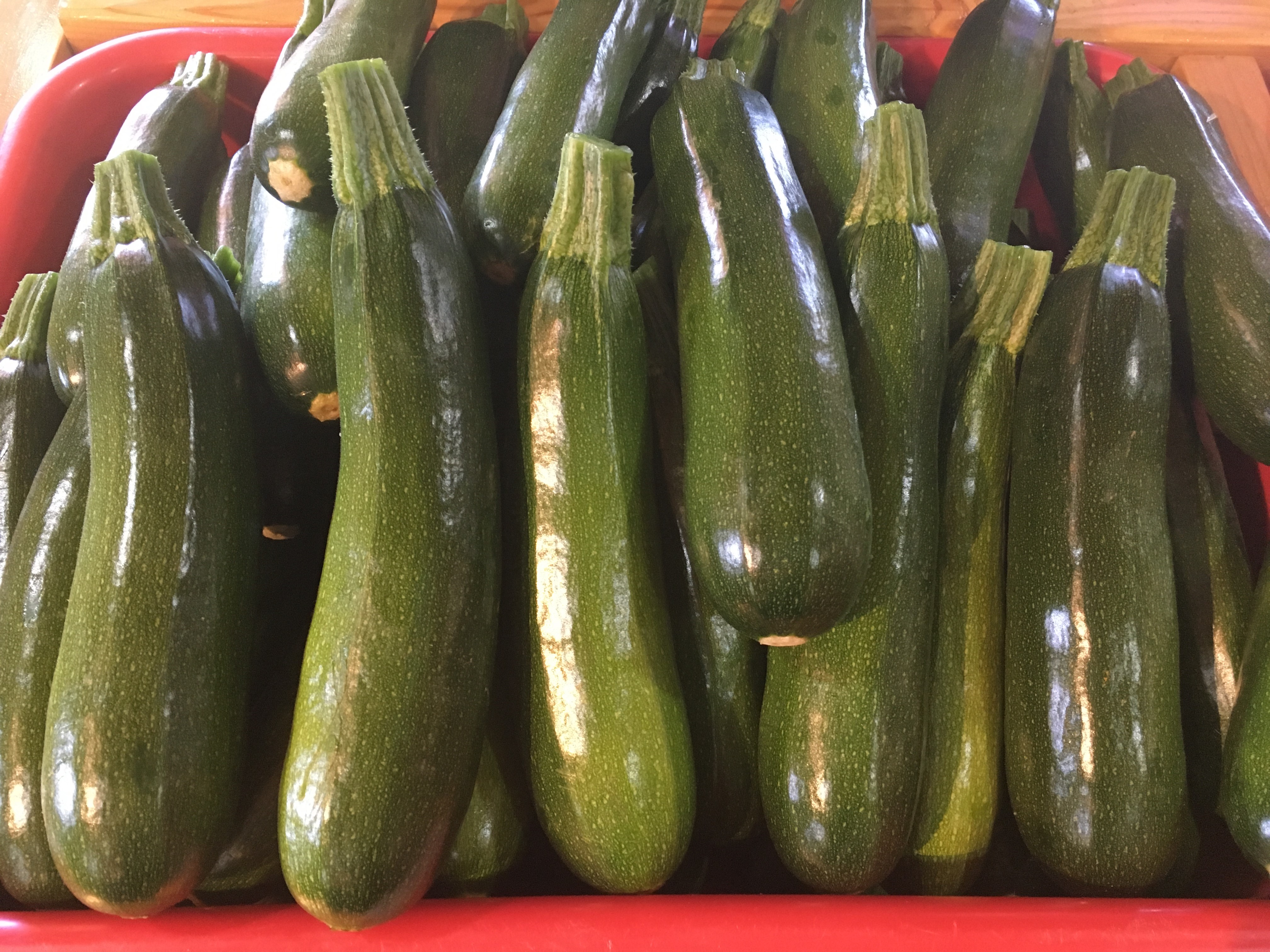 Farm Store | Rota Spring Farm