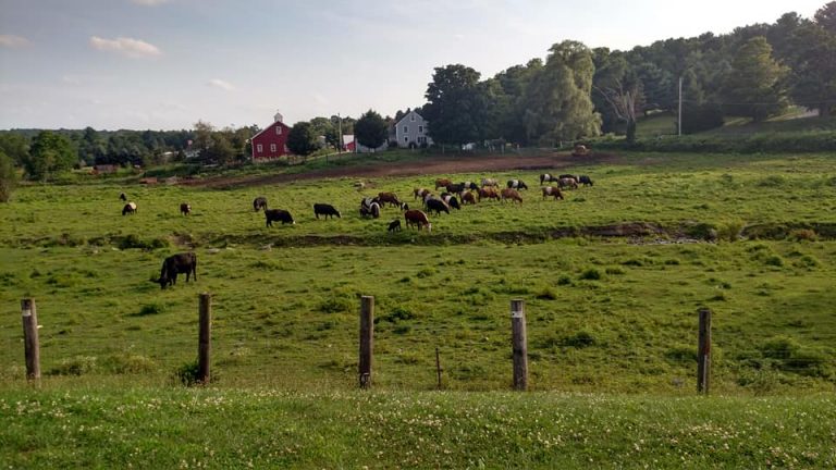 Rota Spring Farm