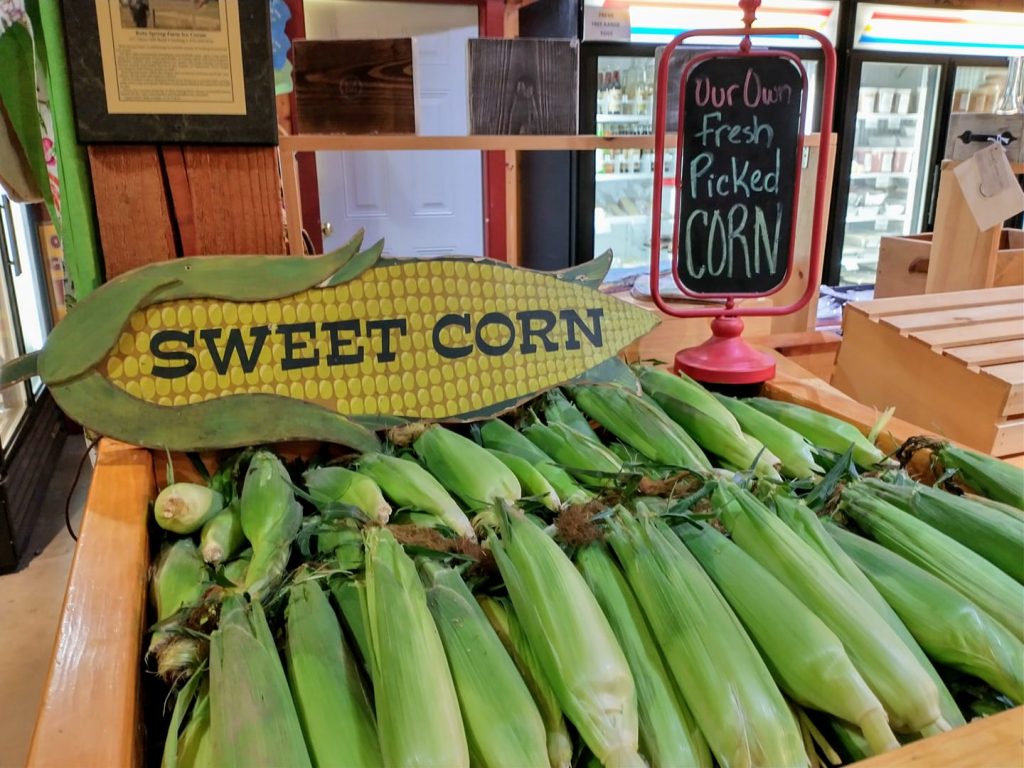 Farm Store | Rota Spring Farm
