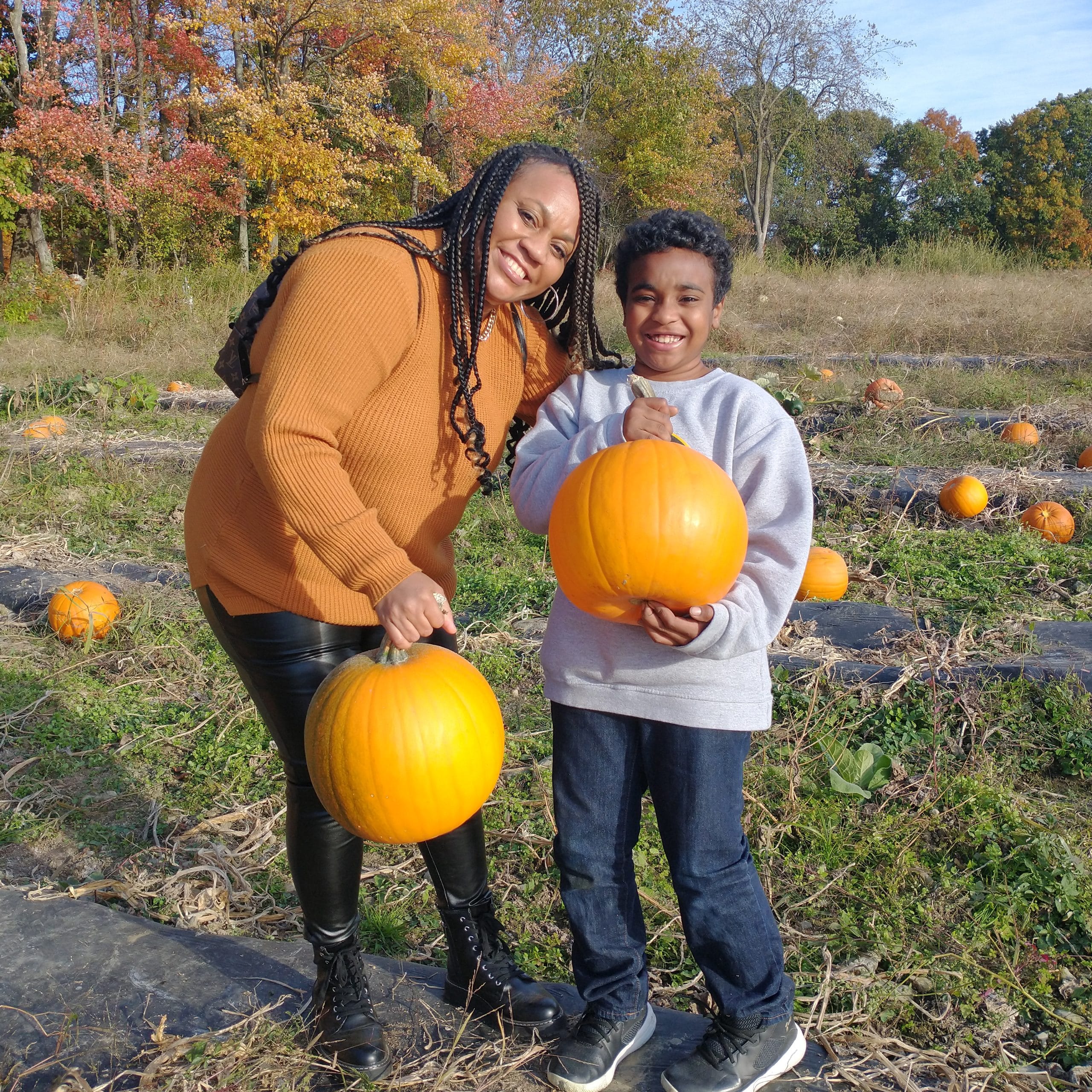 Rota Spring Farm