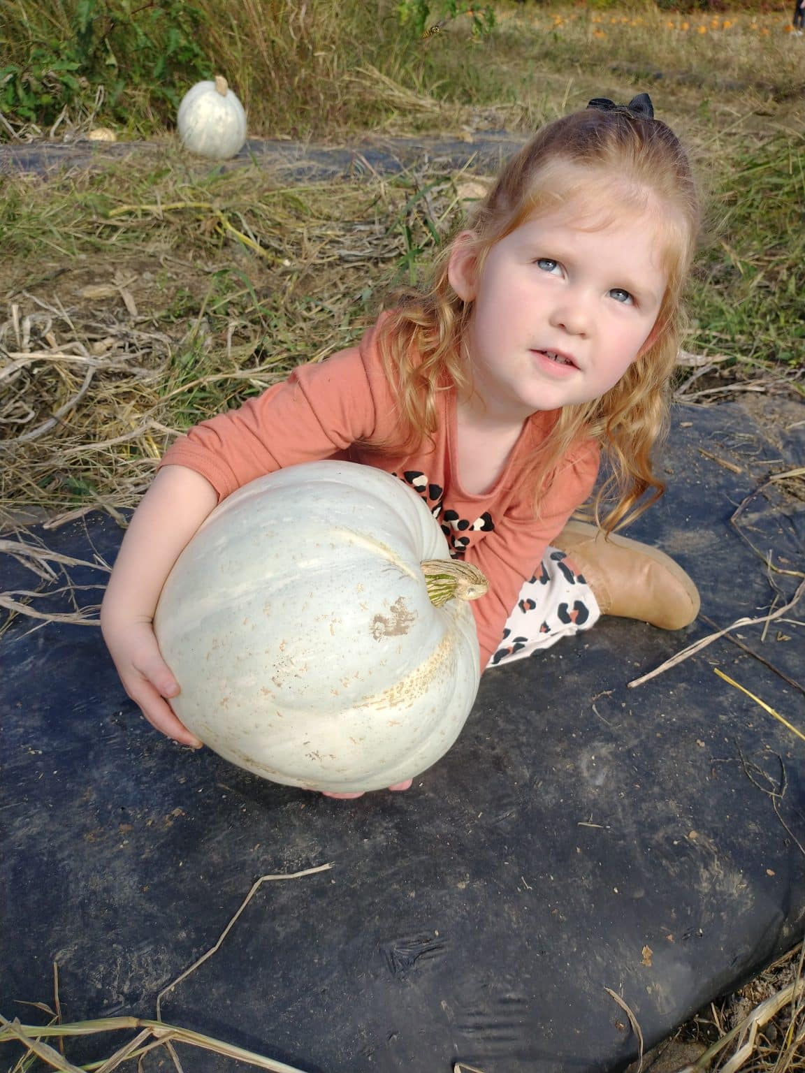 Rota Spring Farm