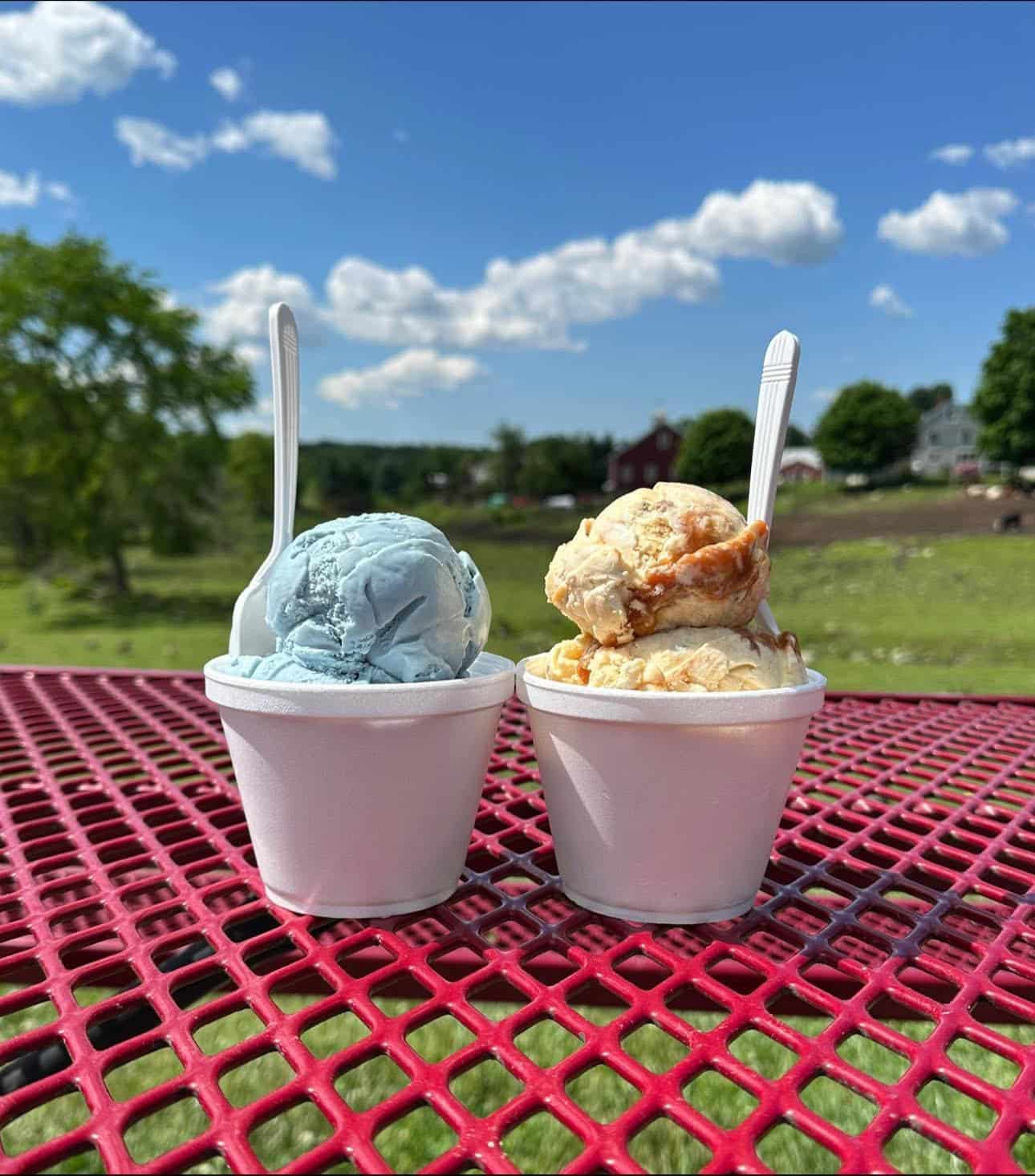 Farm Store | Rota Spring Farm